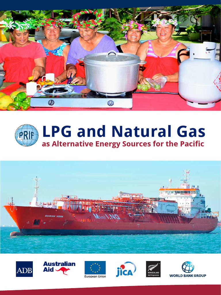 LPGNG Report Final Lowres-130217 | PDF | Liquefied Natural Gas | Liquefied Petroleum Gas