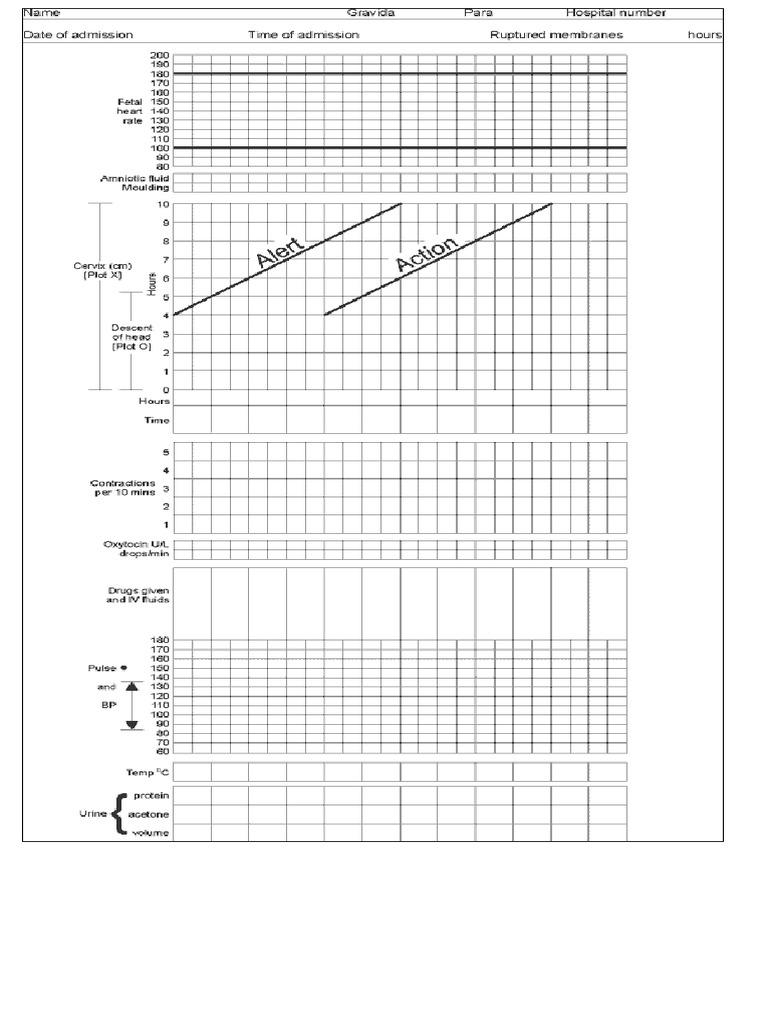 Composite Who Partograph | PDF
