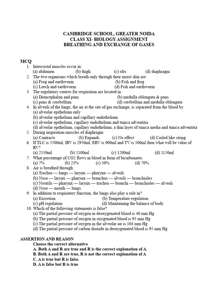Breathing and Exchange of Gases Worksheet | PDF | Respiratory System | Lung