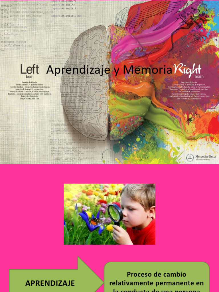 Memoria y Aprendizaje | PDF | Aprendizaje | Memoria