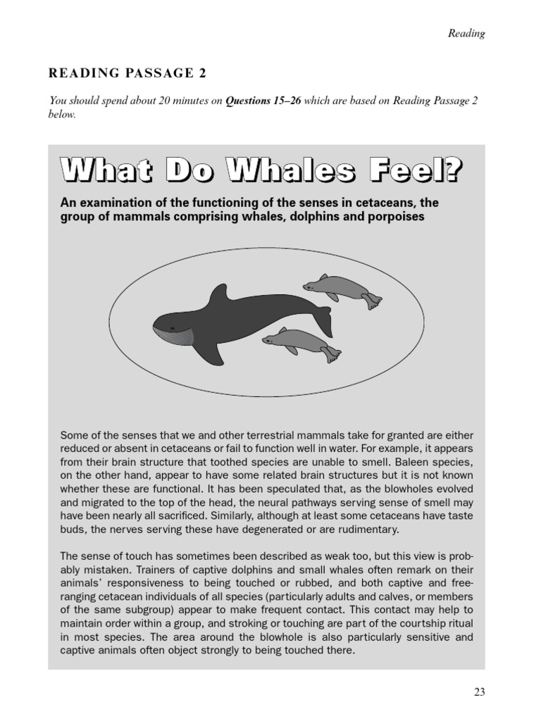 Reading 4-1-6-9 | PDF | Cetacea | Whales