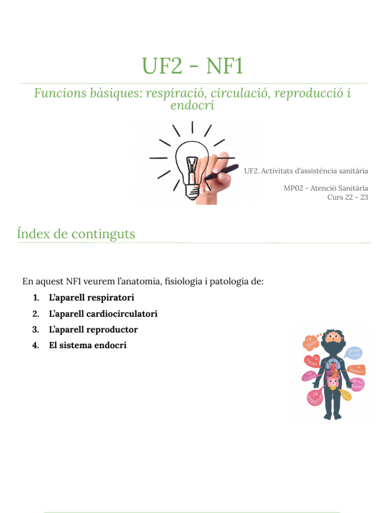 UF2-NF1. Funcions Bàsiques - Repiració, Circulació, Reproducció I Endocrí | PDF