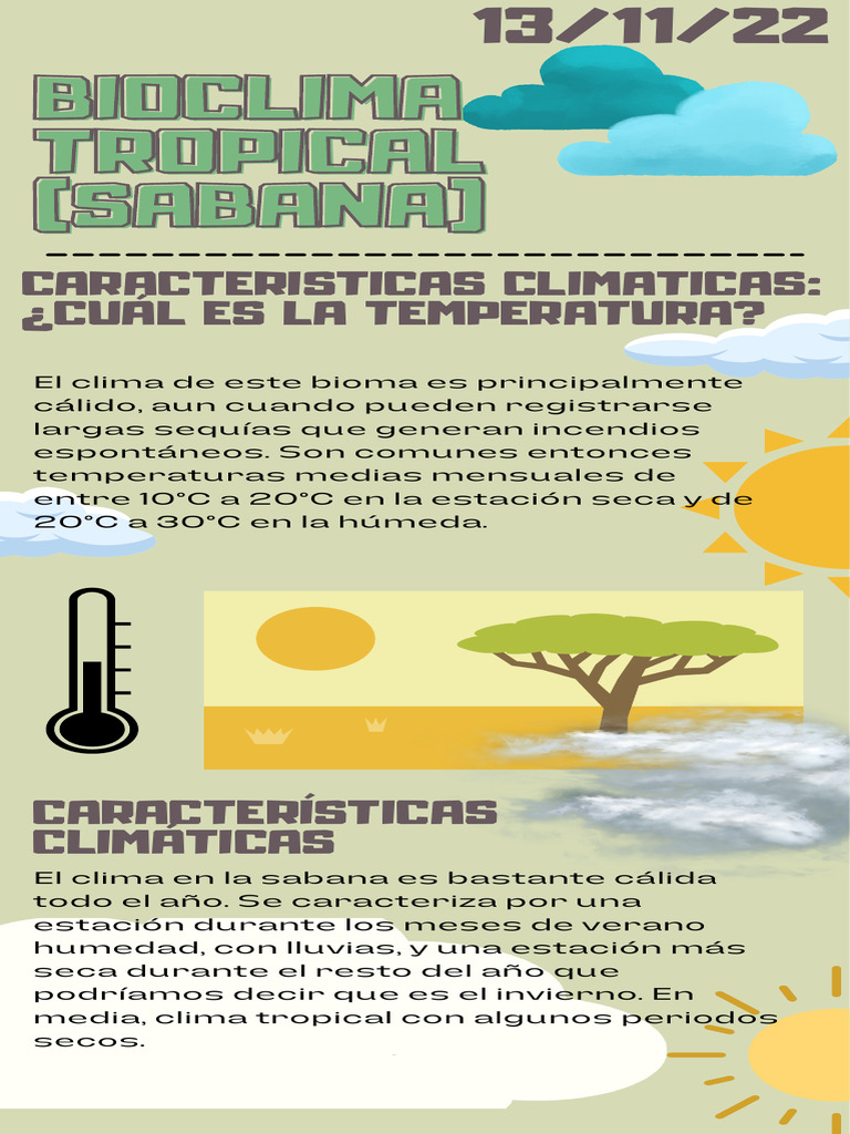 Infografia de El Bioclima Tropical | PDF | Tecnología