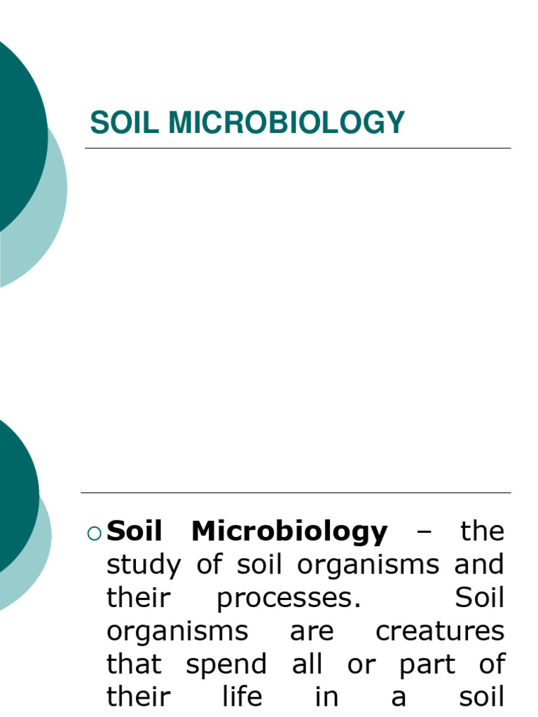 Soil Microbiology | PDF | Soil | Decomposition