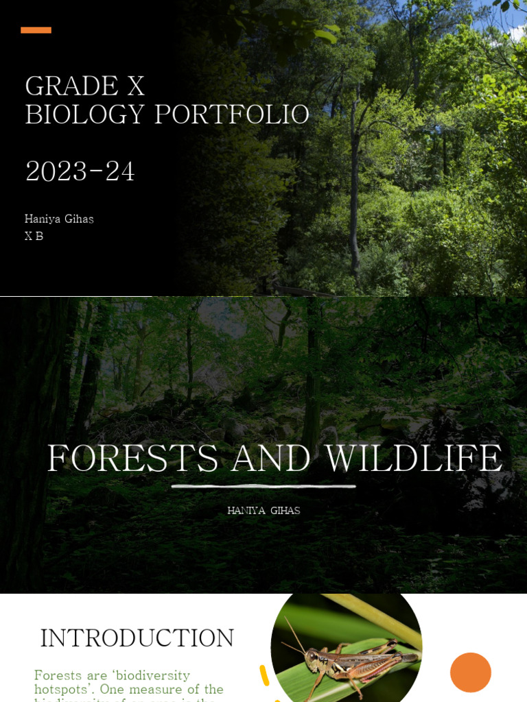 Forest and Wildlife | PDF | Forests | Natural Environment