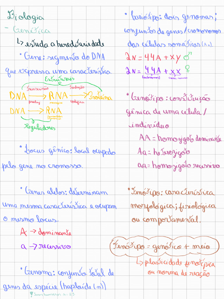 Conceitos Básicos Sobre Genética | PDF