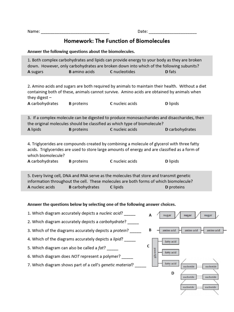 Biomolecules Structure and Function Worksheet | PDF | Carbohydrates ...