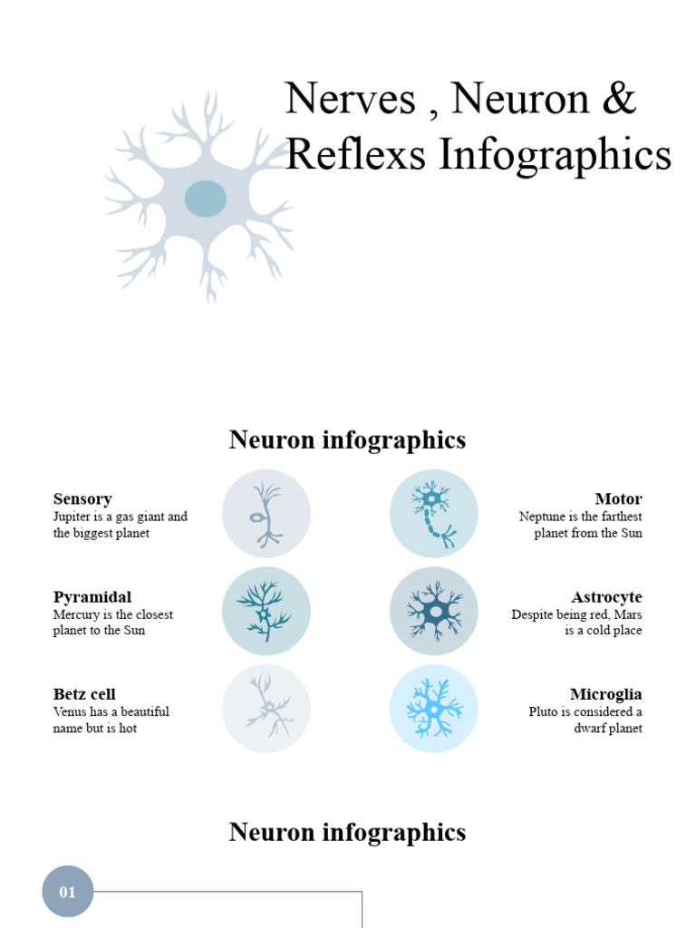 Neuron Infographics by Slidesgo | PDF | Neuron | Pyramidal Cell