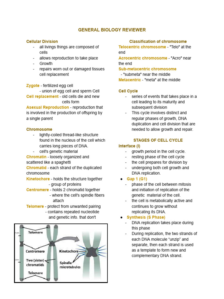 General Biology Reviewer 2nd Qrtr | PDF | Meiosis | Osmosis