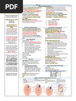 Rathus Assertive Scale | PDF | Social Psychology | Behavioural Sciences