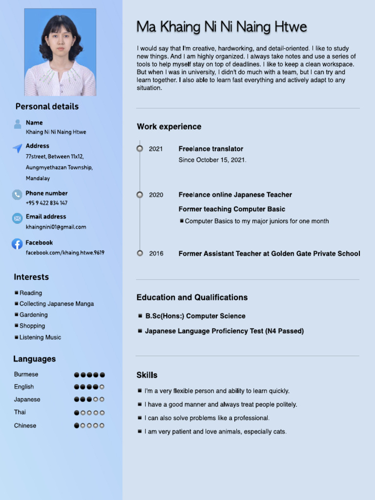 KN3H's CV | PDF