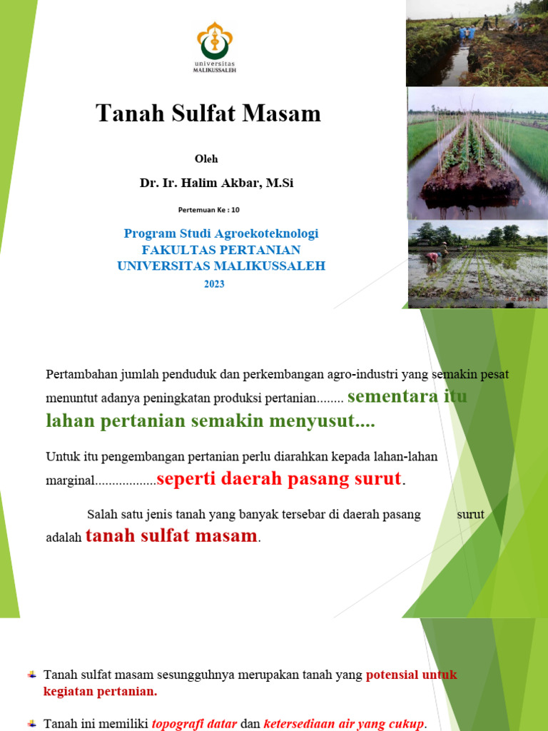 Pengelolaan Tanah Sulfat Masam | PDF