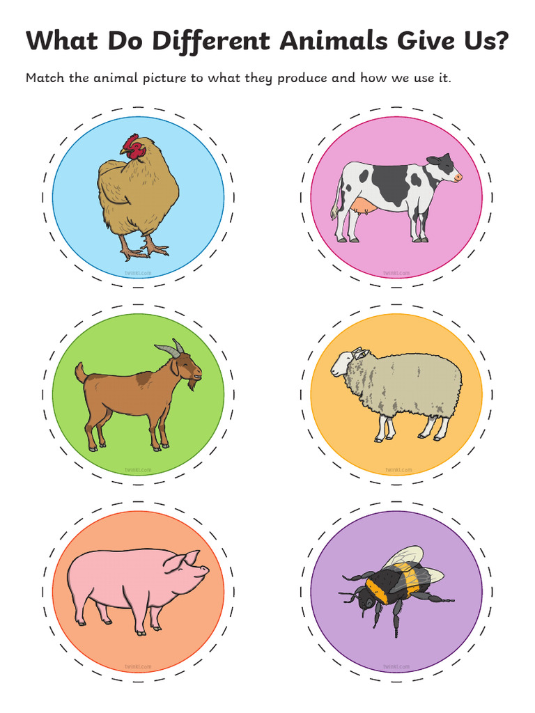 t Tp 6579 What Do Different Animals Give Us Picture Activity | PDF