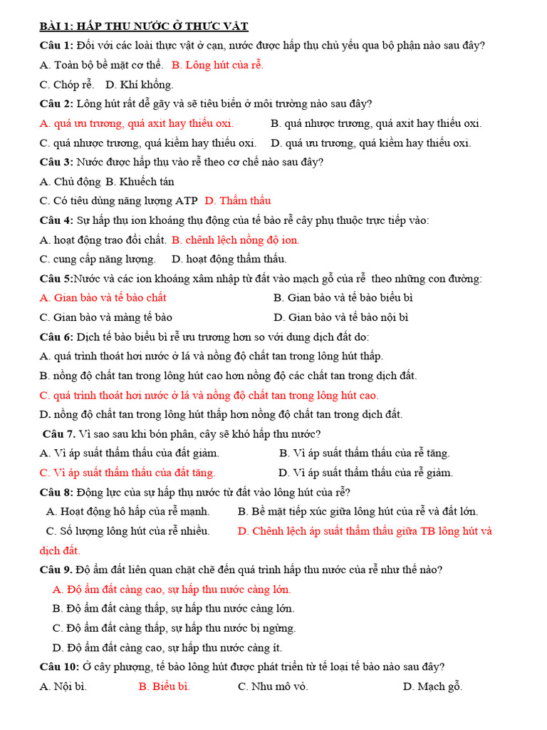 On HKI Sinh 11 | PDF