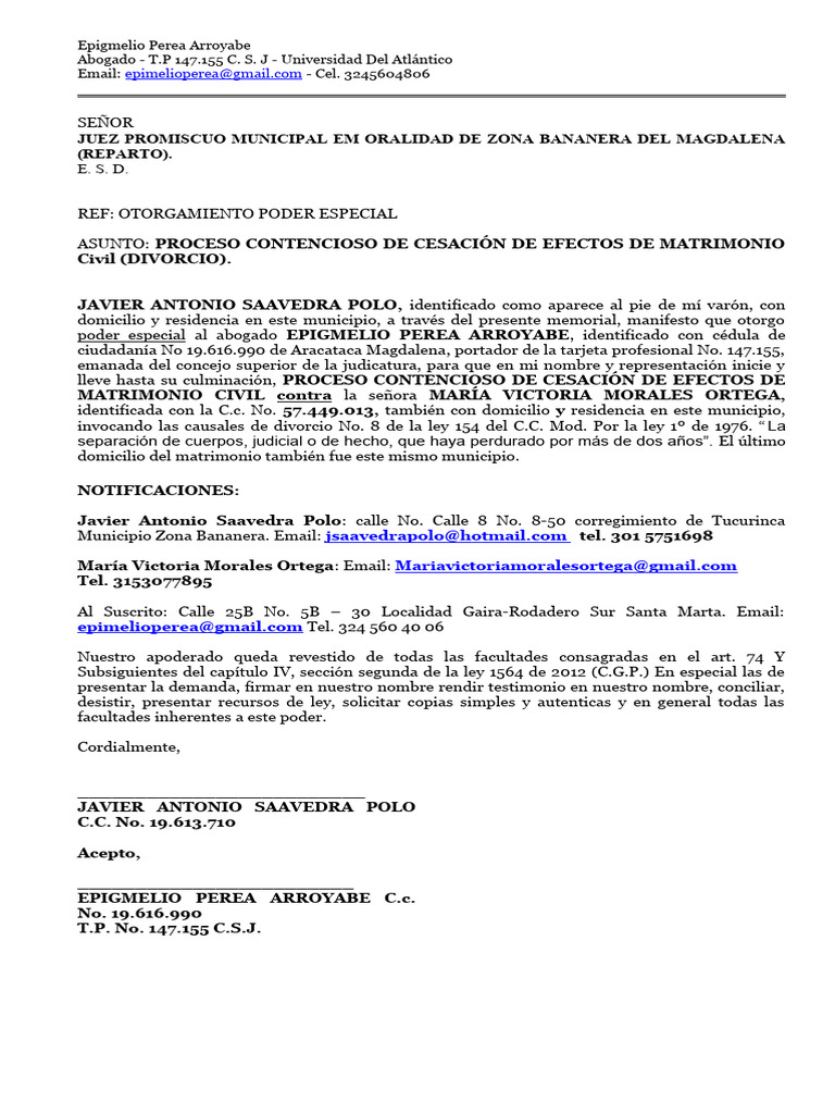 Poder Divorcio Javier Saavedra | PDF