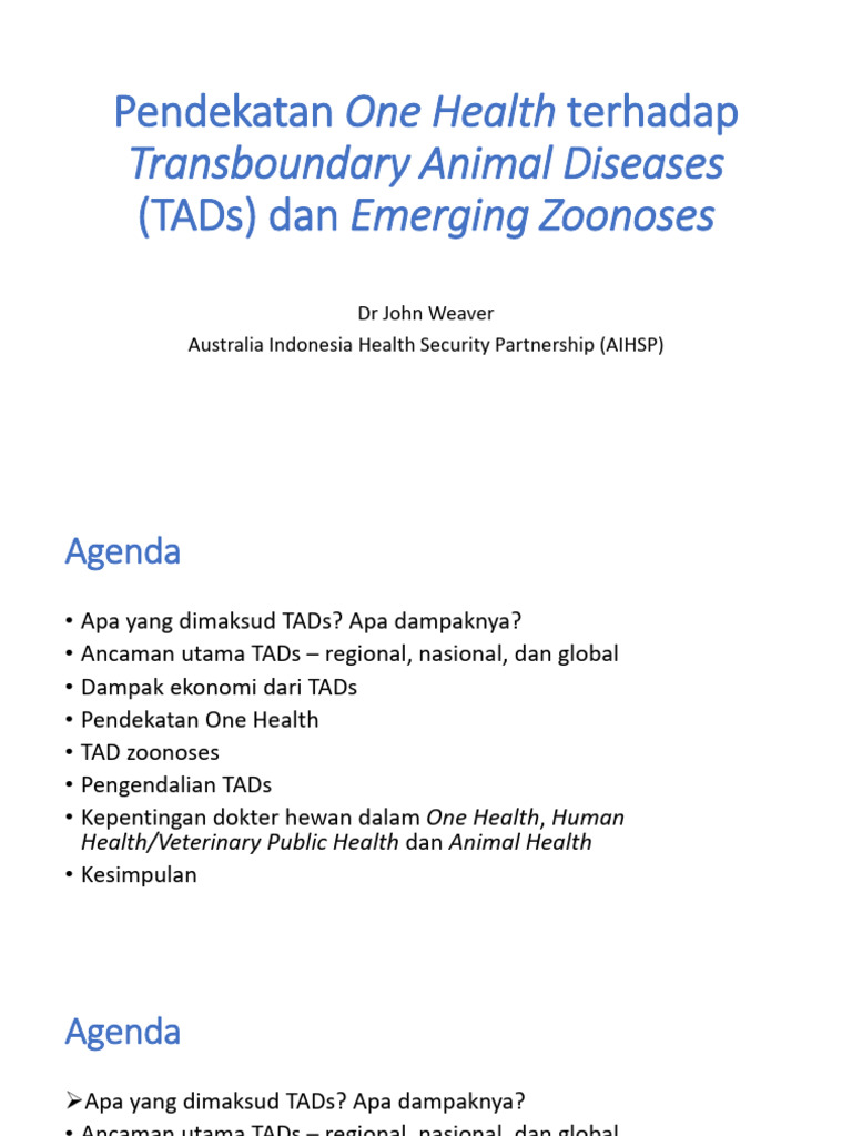 IPB - TADs 2023 (IND) | PDF