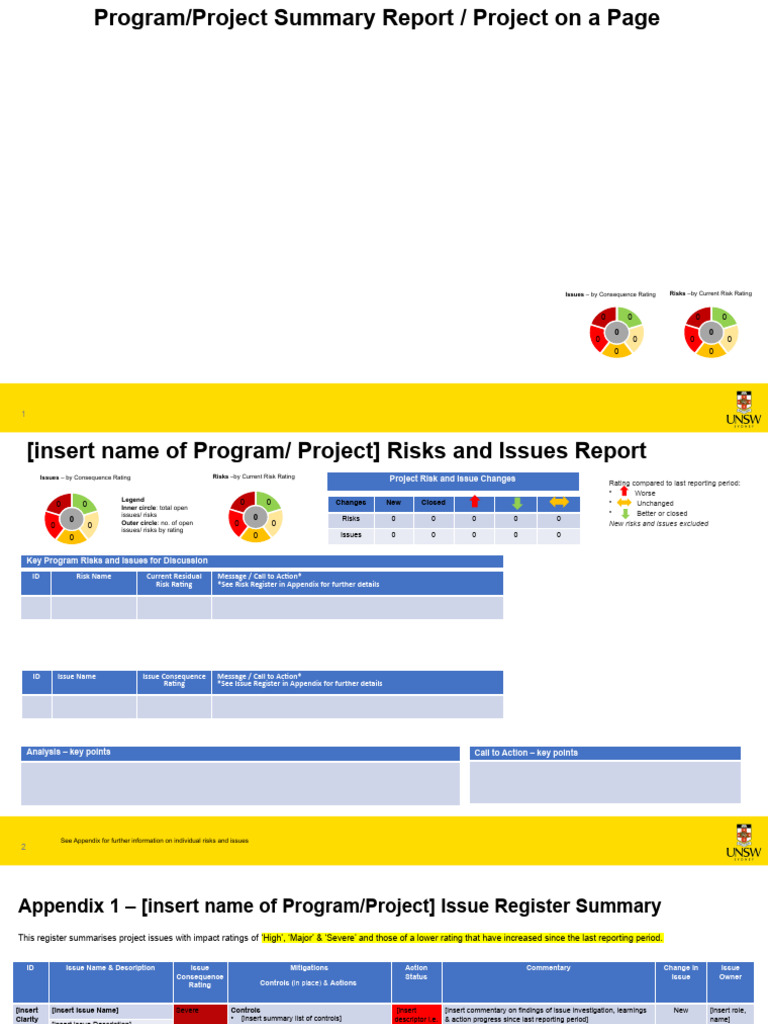 #Project Board Risk Issues Report Template (Current PM Use Small ...