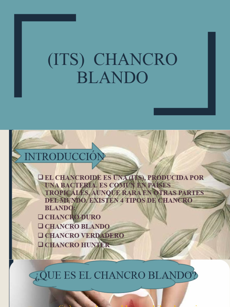 CHANCRO BLANDO DPCC.. (1) | PDF