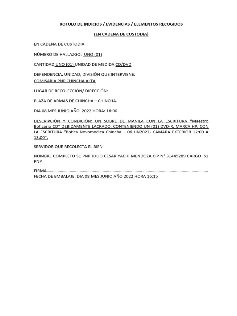 ACTAS PNP-NCPP | PDF | Justicia | Crimen y violencia