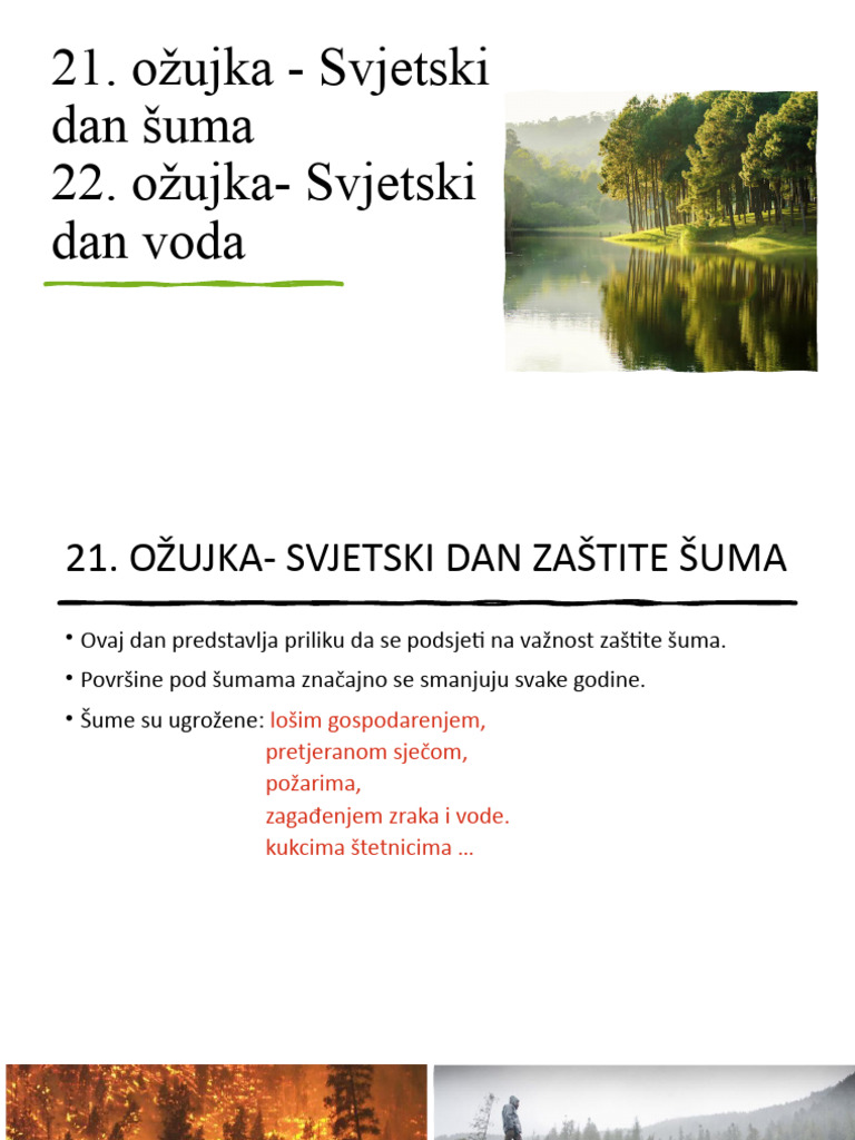 Svjetski Dan Šuma Svjetski Dan Voda | PDF