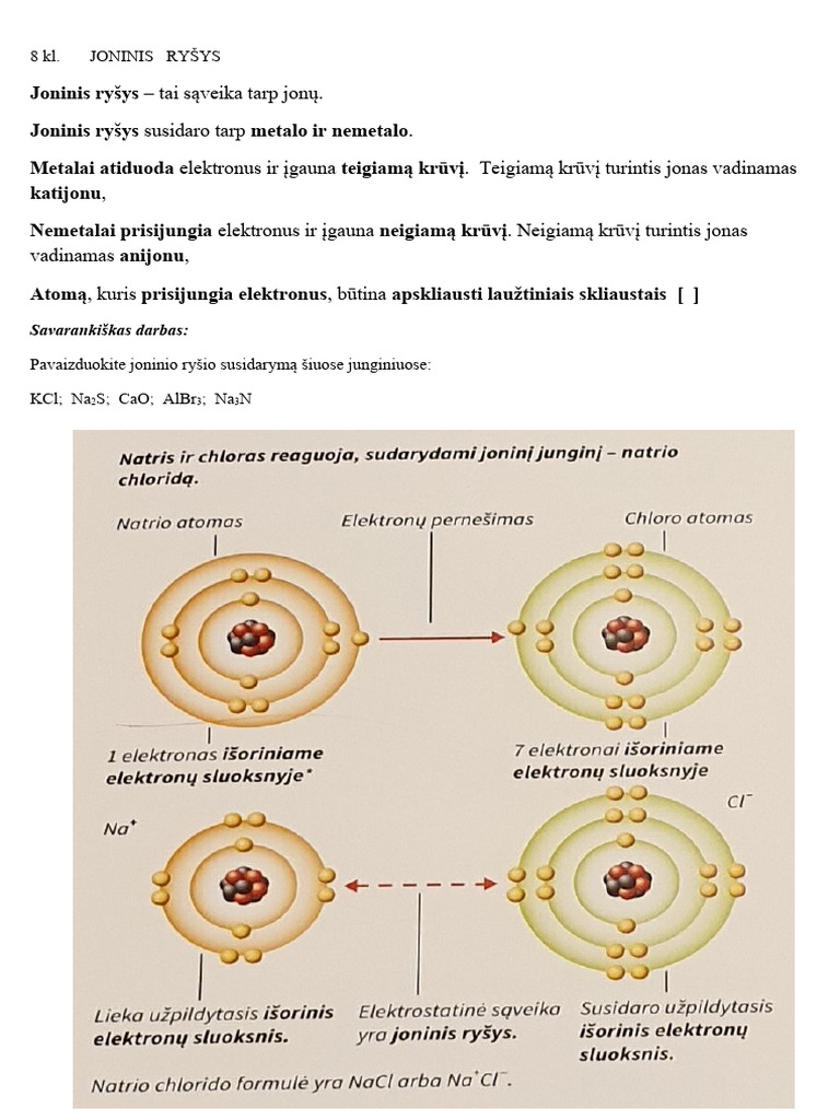 8 Kl. Joninis Rysys 2023 M. | PDF