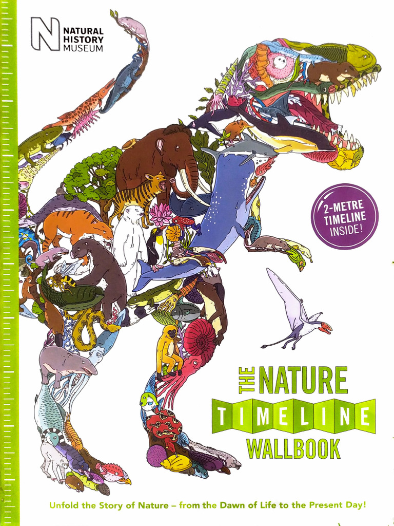 Museum: Natural History | PDF