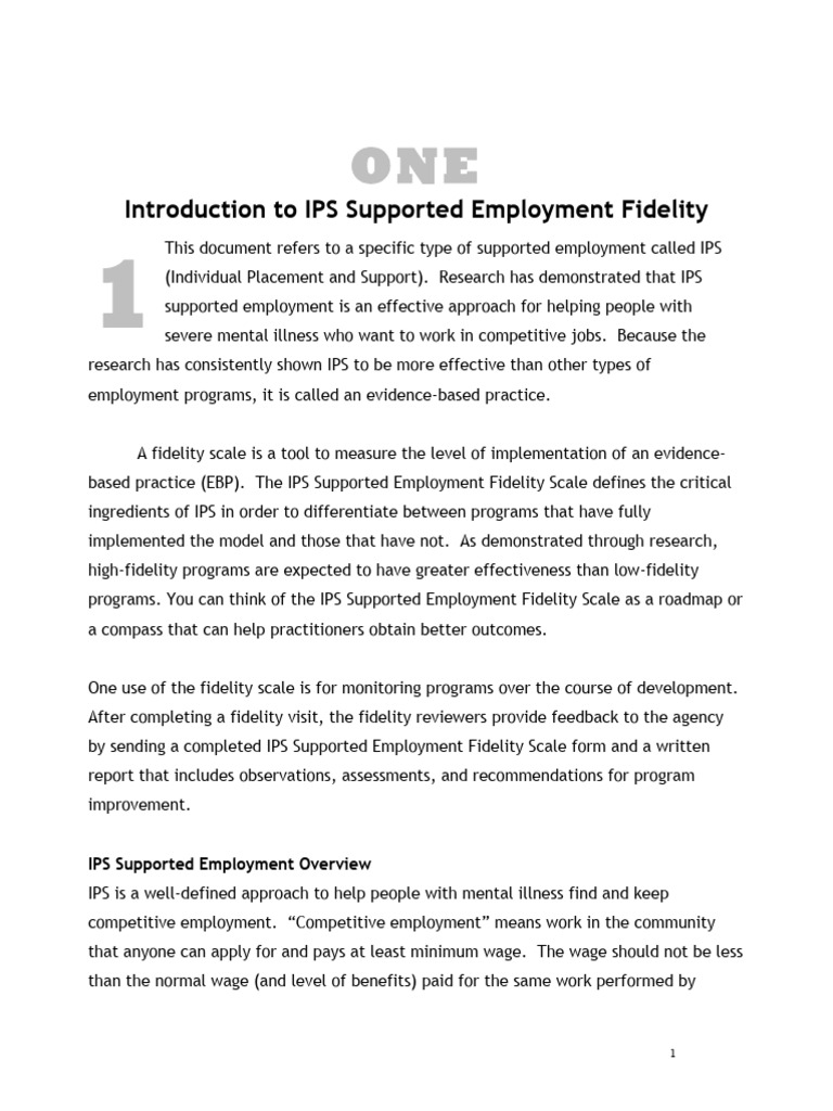 IPS Supported Employment Fidelity Guide | PDF | Mental Health ...