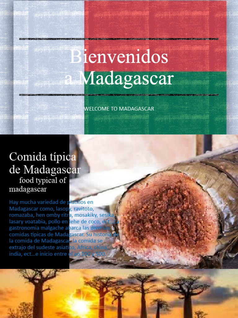 Madagascar | PDF | Madagascar