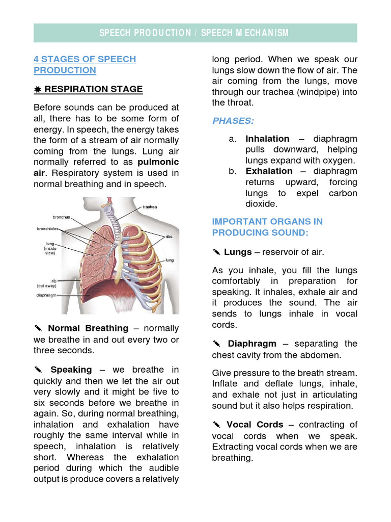4-STAGES-OF-SPEECH-PRODUCTION | PDF | Linguistics | Phonetics