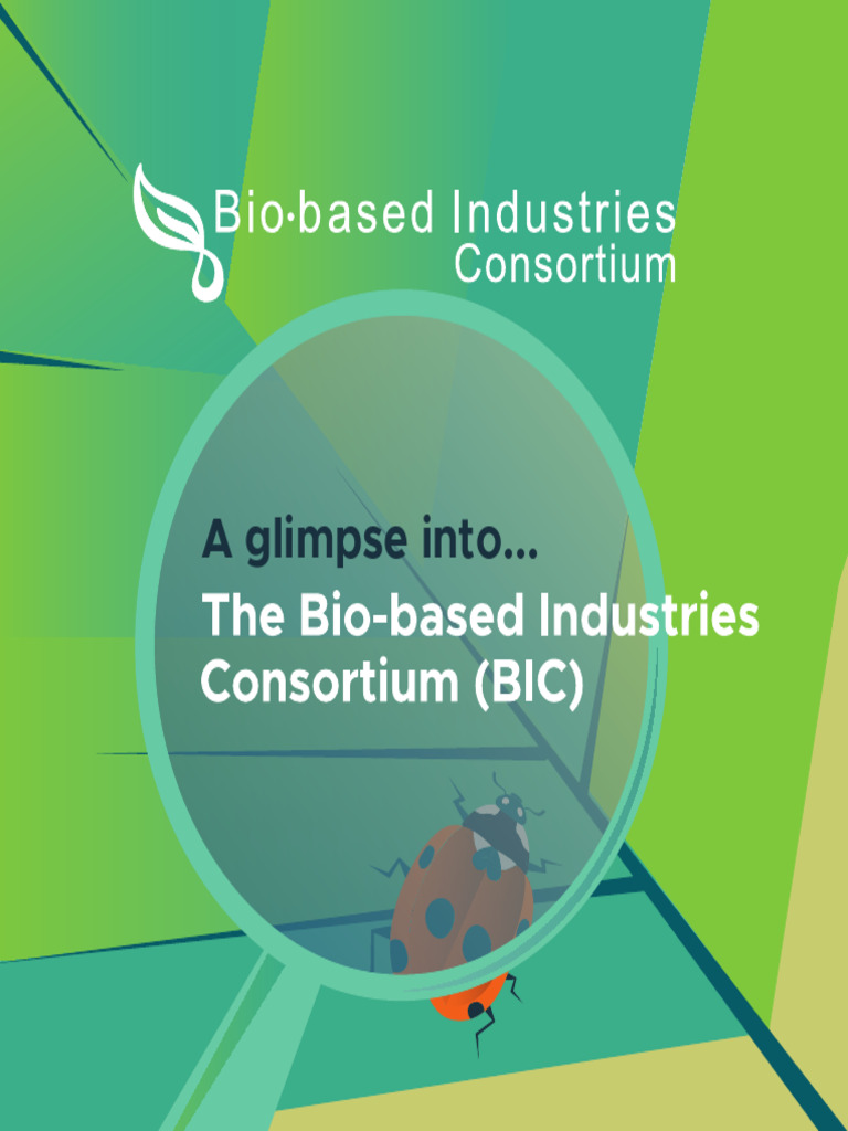 A Glimpse Into BIC | PDF | European Union | Sustainability