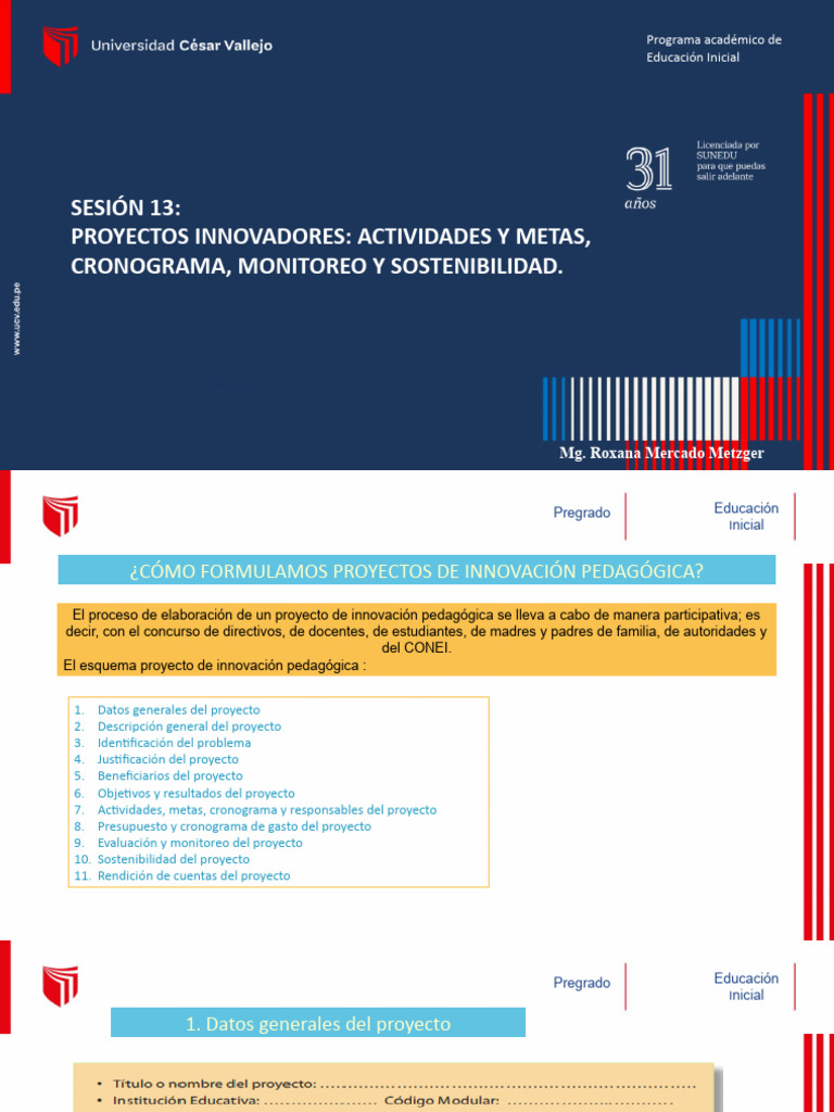 PPT13 - Determinar Actividades y Metas Cronograma Monitoreo y Sostenibilidad | PDF | Enseñando ...