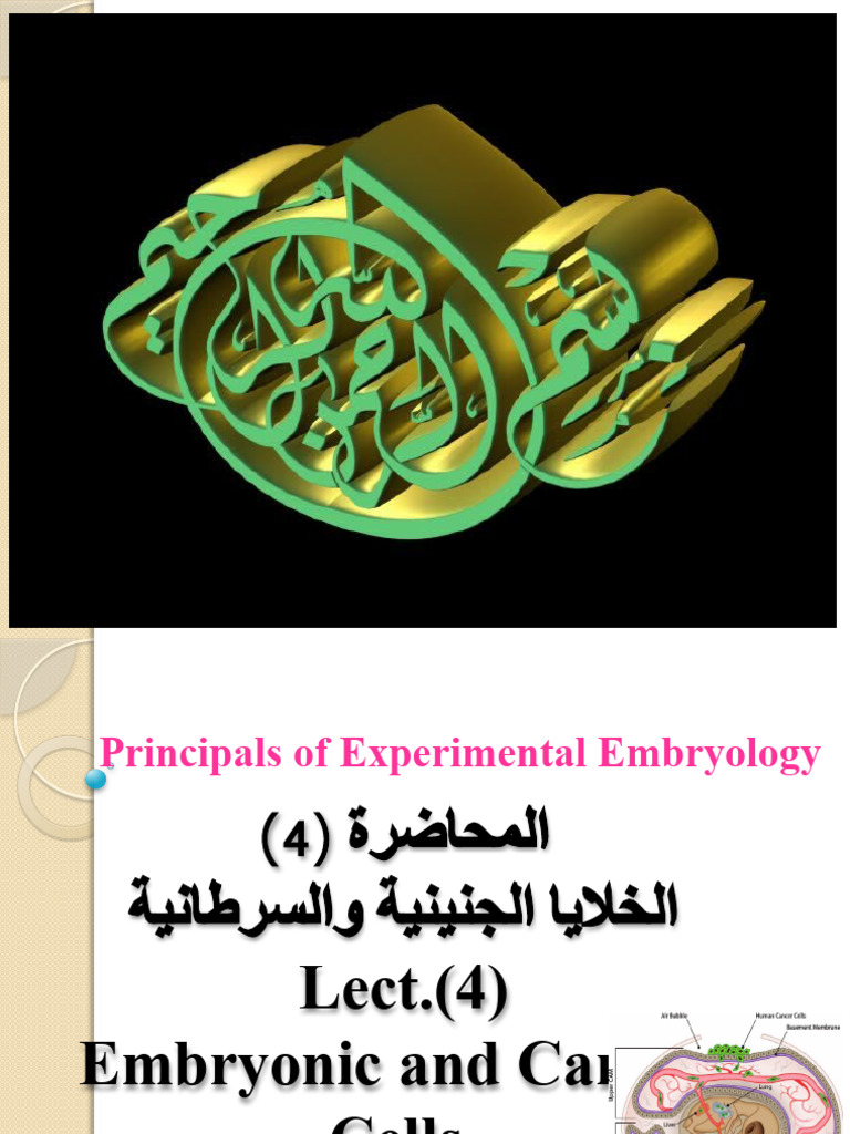 4-Cancer and Embryonic Cells | PDF | Radiation | Cancer