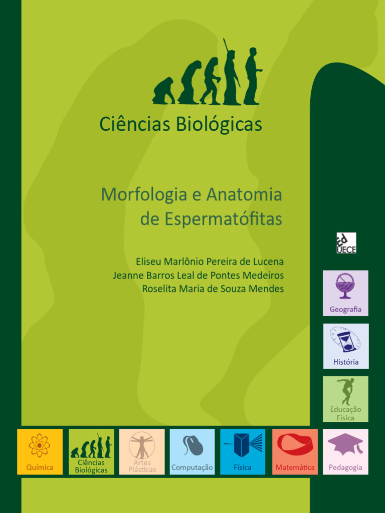Ciencias Biologicas Morfologia e Taxonomia de Espermatofitas | PDF | Semente | Plantas