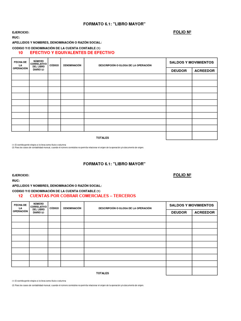 Formato de Libro Mayor Contable | PDF | Contabilidad | Ciencias económicas