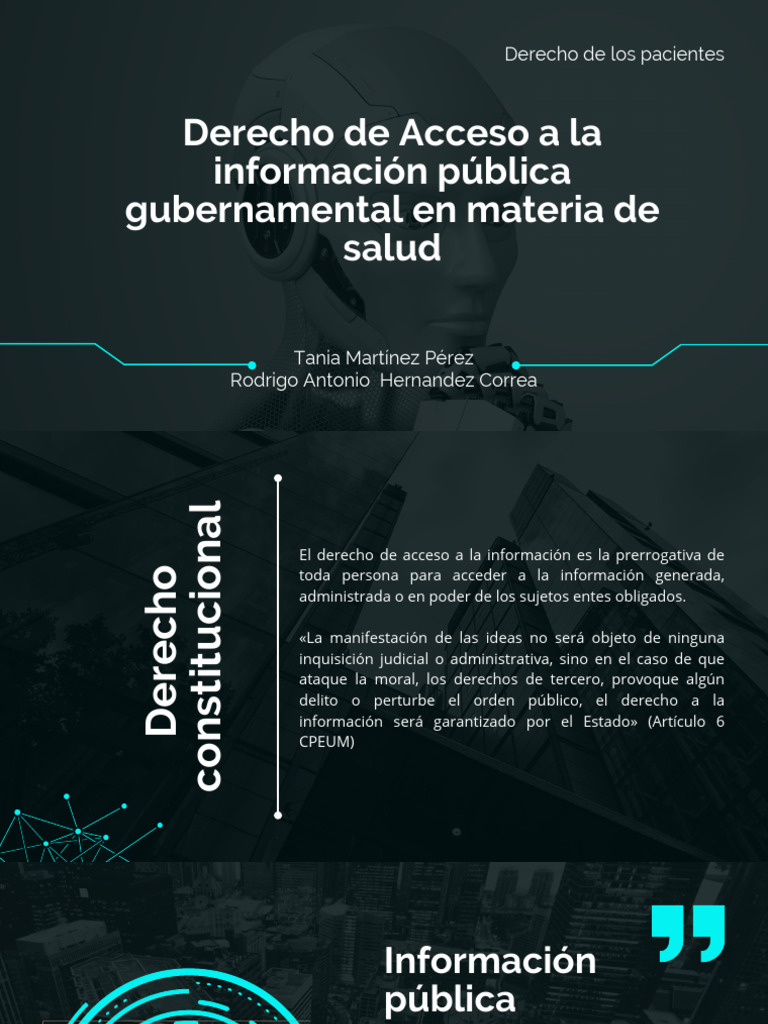 Derecho de Acceso A La Información Pública Gubernamental en Materia de ...