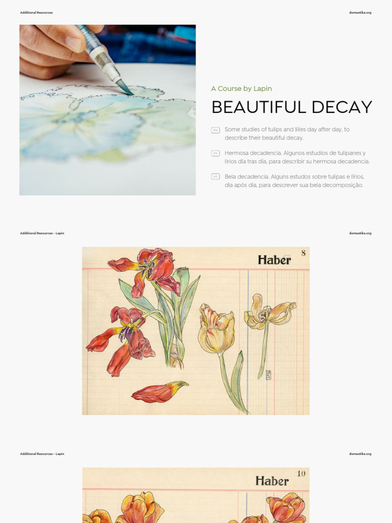 Beautiful Decay: Tulip & Lily Study | PDF | Foreign Language Studies