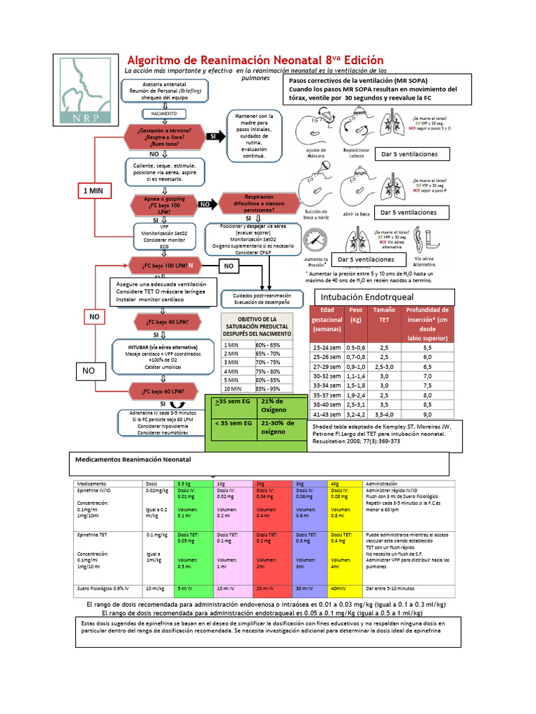 Diagrama De Reanimación Neonatal Nrp 7.ª Edición Guia Practica De