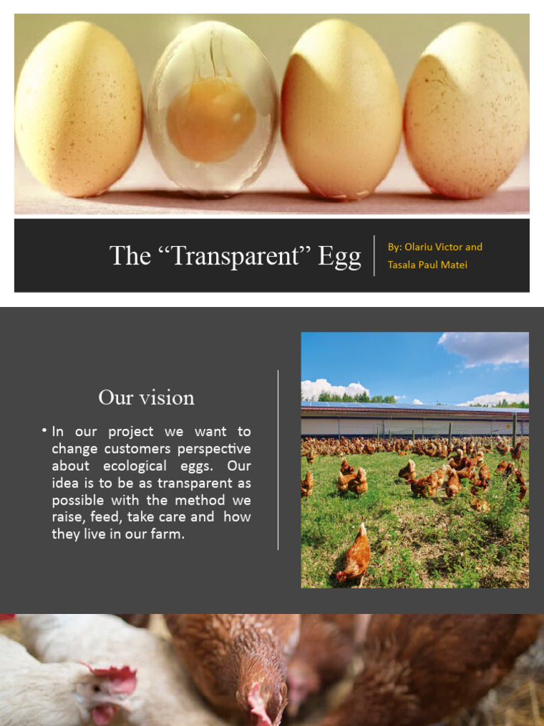 Marketing Final Project | PDF | Advertising | Marketing Marketing Final Project | PDF | Advertising | Marketing