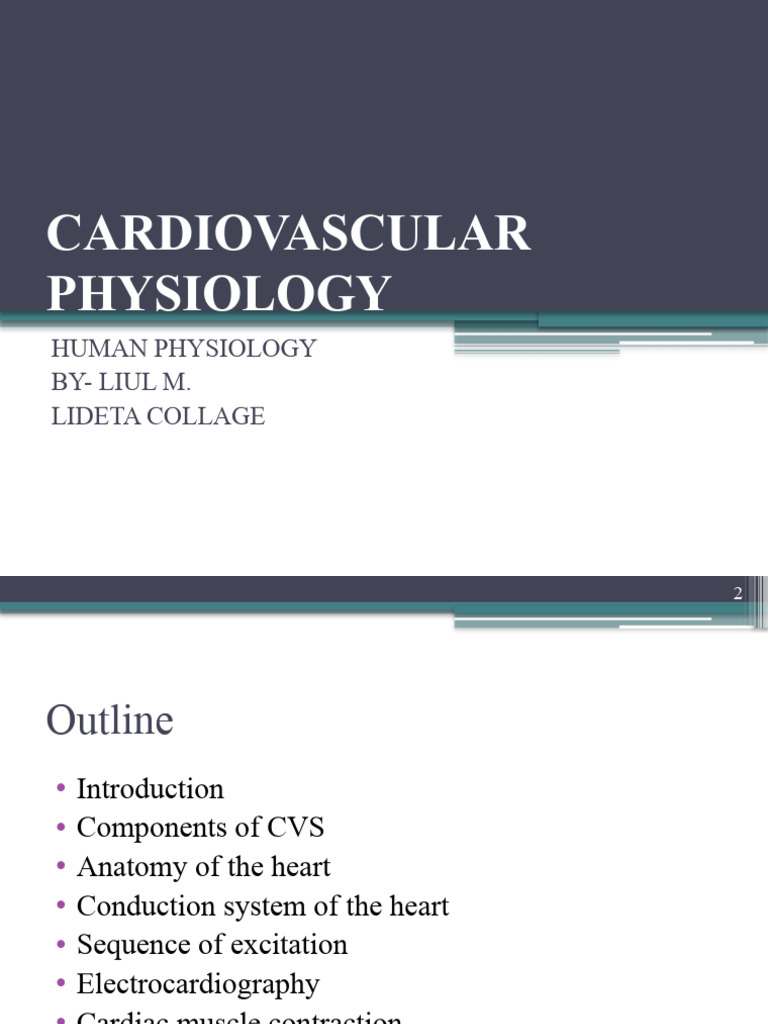 Cardiovascular Physiology Overview | PDF | Heart Valve | Diastole