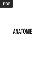 Angiologie Systeme Vasculaire Du Membre Superieur | PDF | Main ...