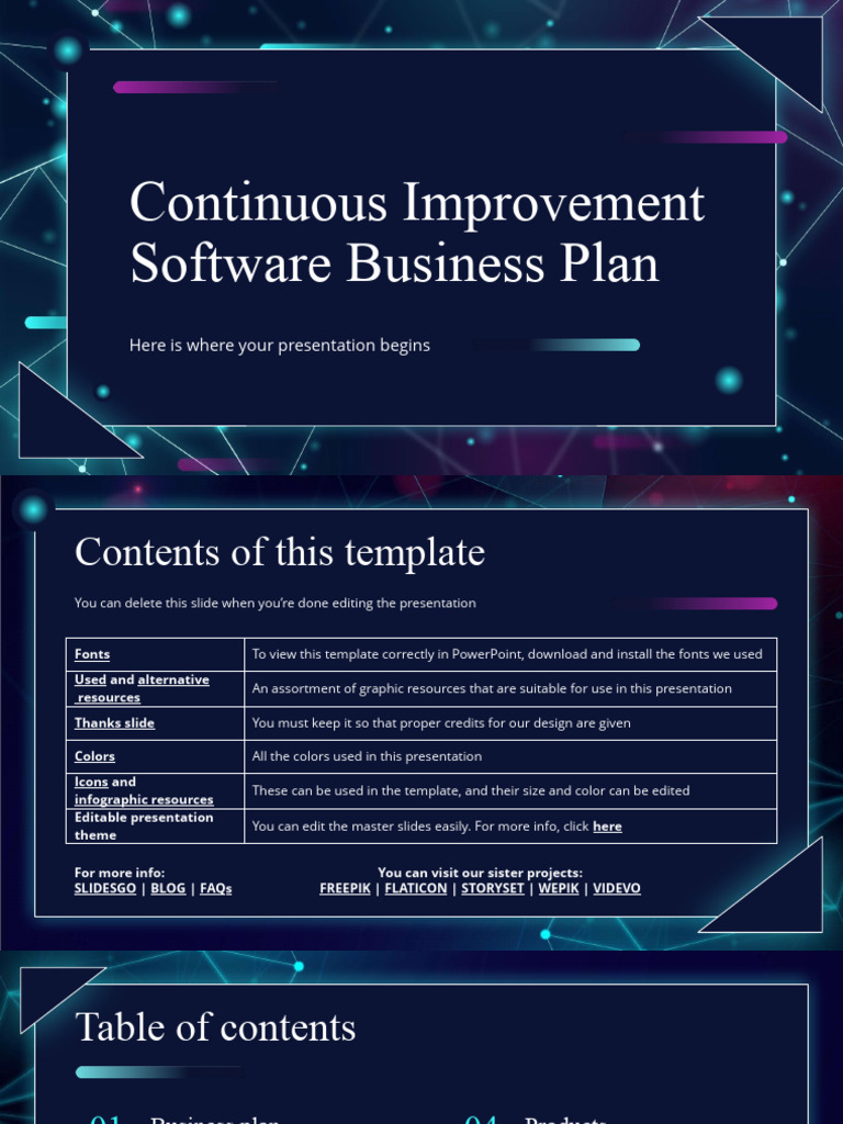 Business Plan for Tech-Savvy Pros | PDF | Marketing | Sales