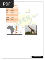 Historia de Las Jirafas | PDF | Evolución