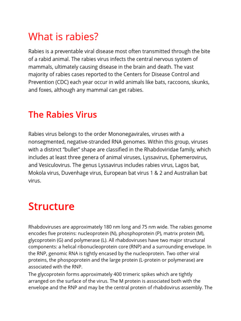 Rapio | PDF | Virus | Rabies
