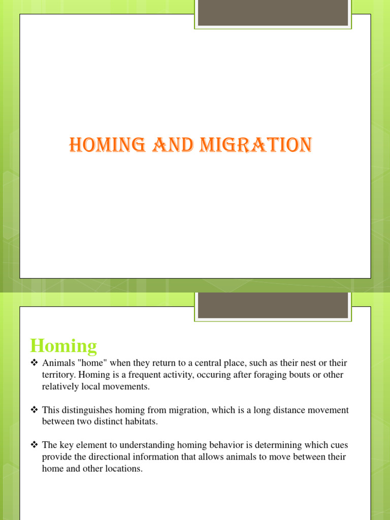 Homing and Migration | Download Free PDF | Bird Migration | Honey Bee
