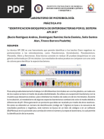 Ficha Tecnica API 50CH Medium | PDF | Laboratorios