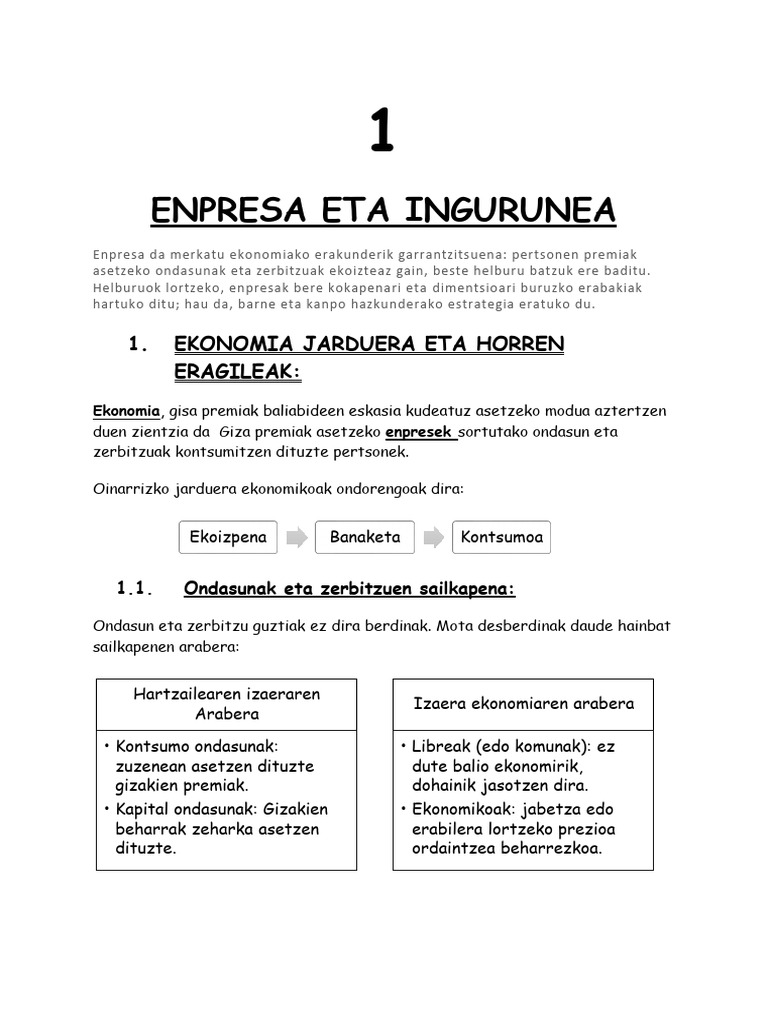 Enpresa Eta Ingurunea | PDF