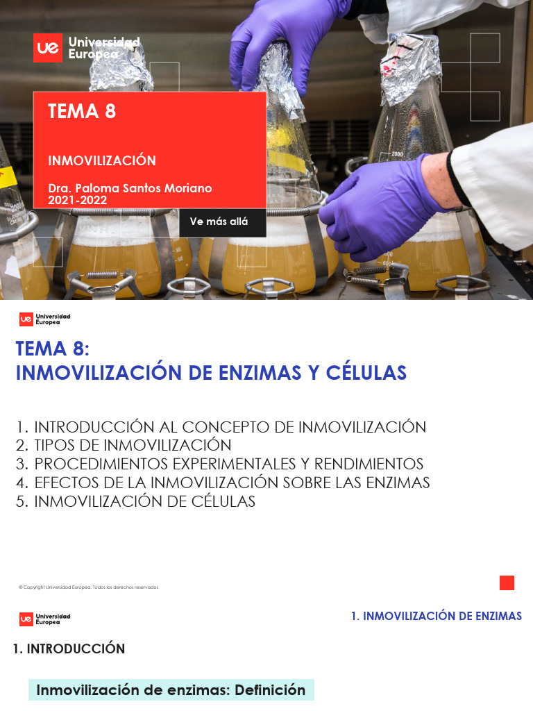 tEMA8 2 | PDF | Enzima | Catálisis