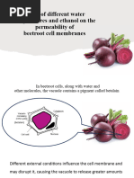 The Effect of Temperature On Membrane Permeability in Beetroot Cells ...