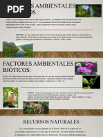 La Sabana Húmeda de Palmeras | PDF