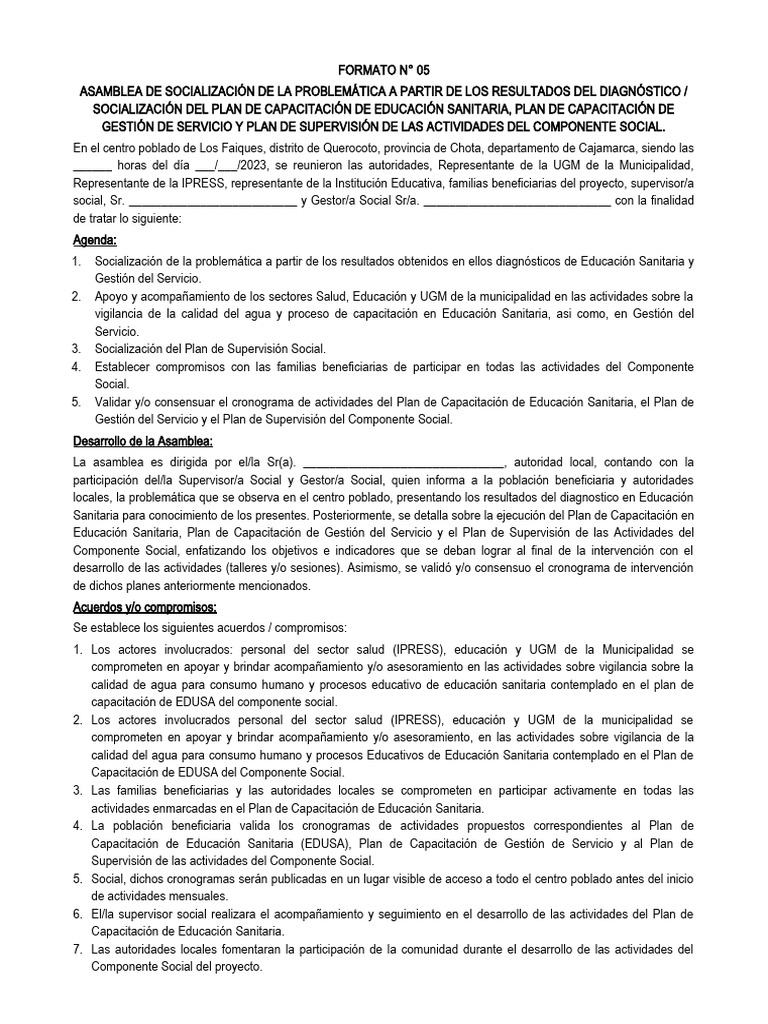 Formato N 05 Acta de Socialización de Resultados | PDF Formato N 05 Acta de Socialización de Resultados | PDF